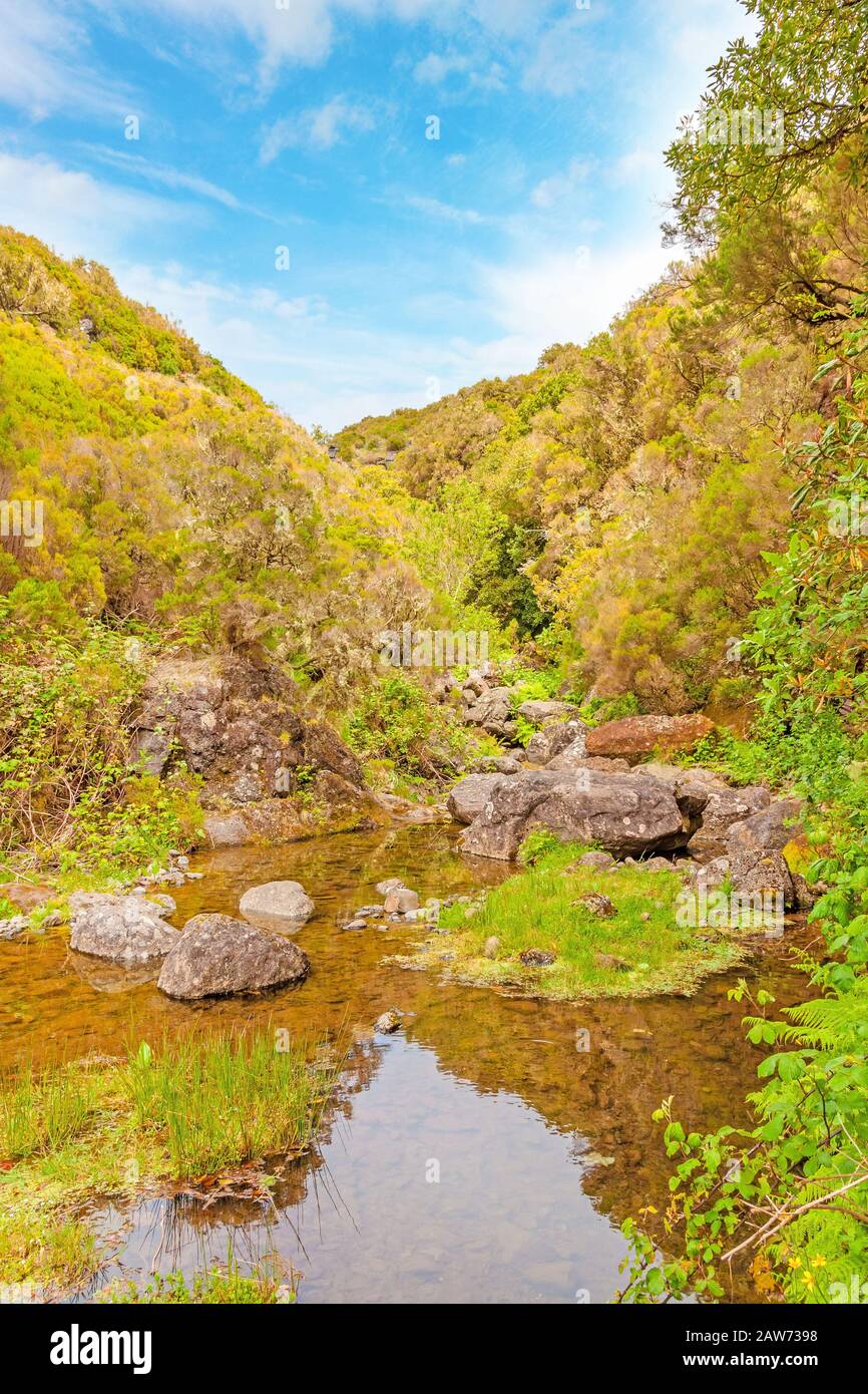 idyllic green tropical natural landscape Stock Photo - Alamy