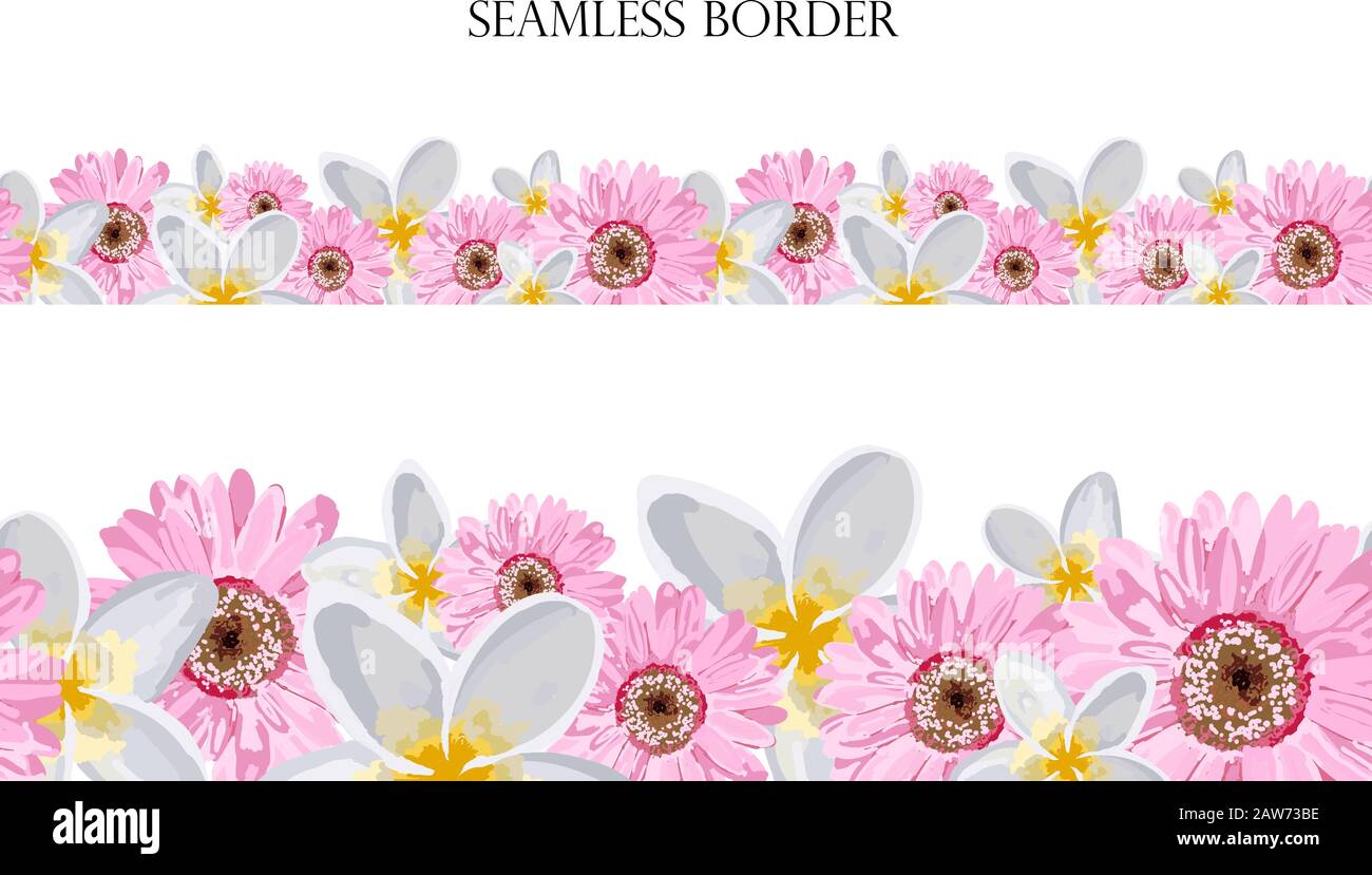 Flower Border Line Png