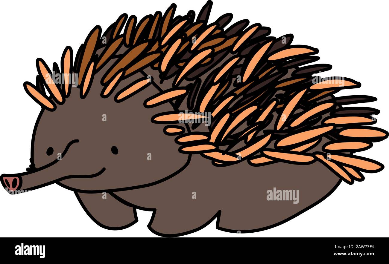 Echidna Illustration High Resolution Stock Photography and Images - Alamy
