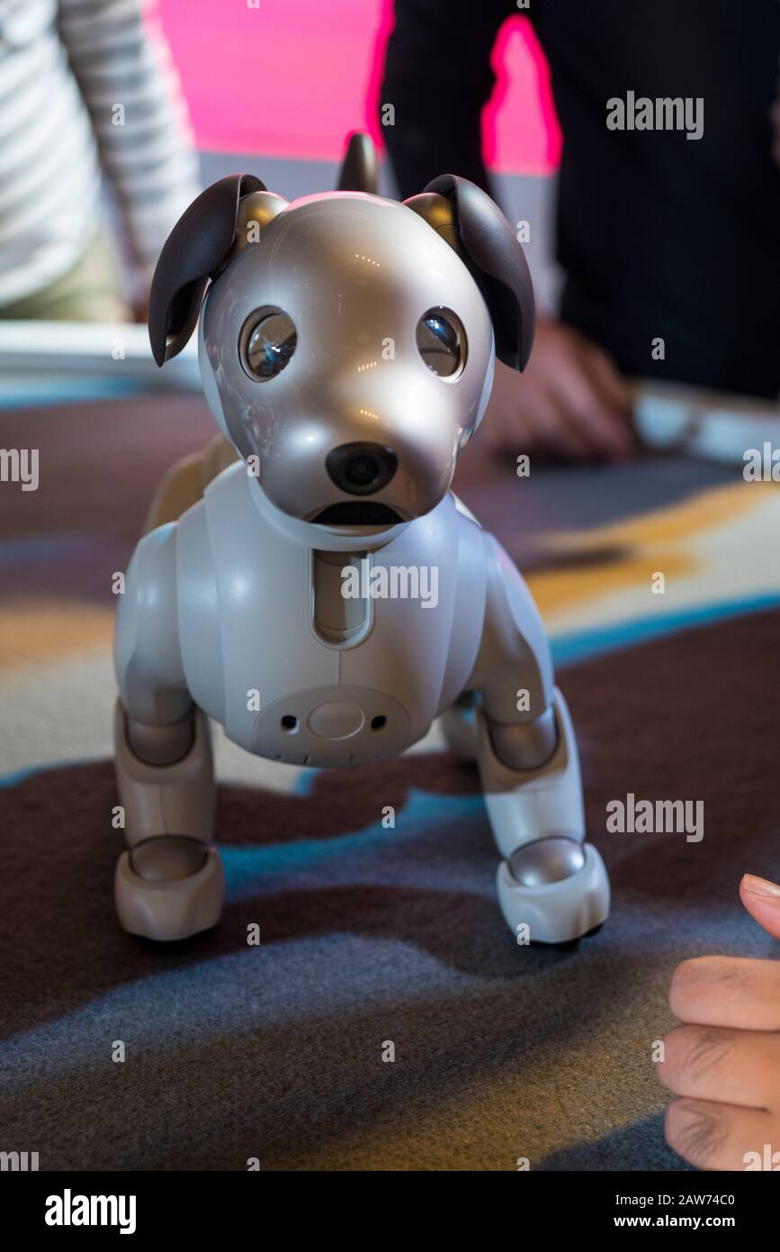 Shenzhen, China, April, 2019. AIBO robot on display at Sony Expo 2019. AIBO (stylized aibo ...