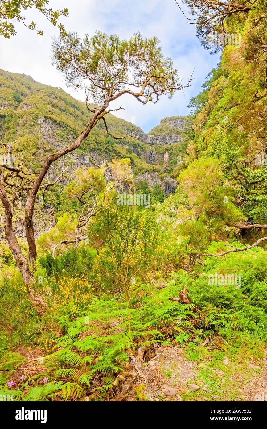 Island of Madeira - the magnificent natural landscape in the west, near ...