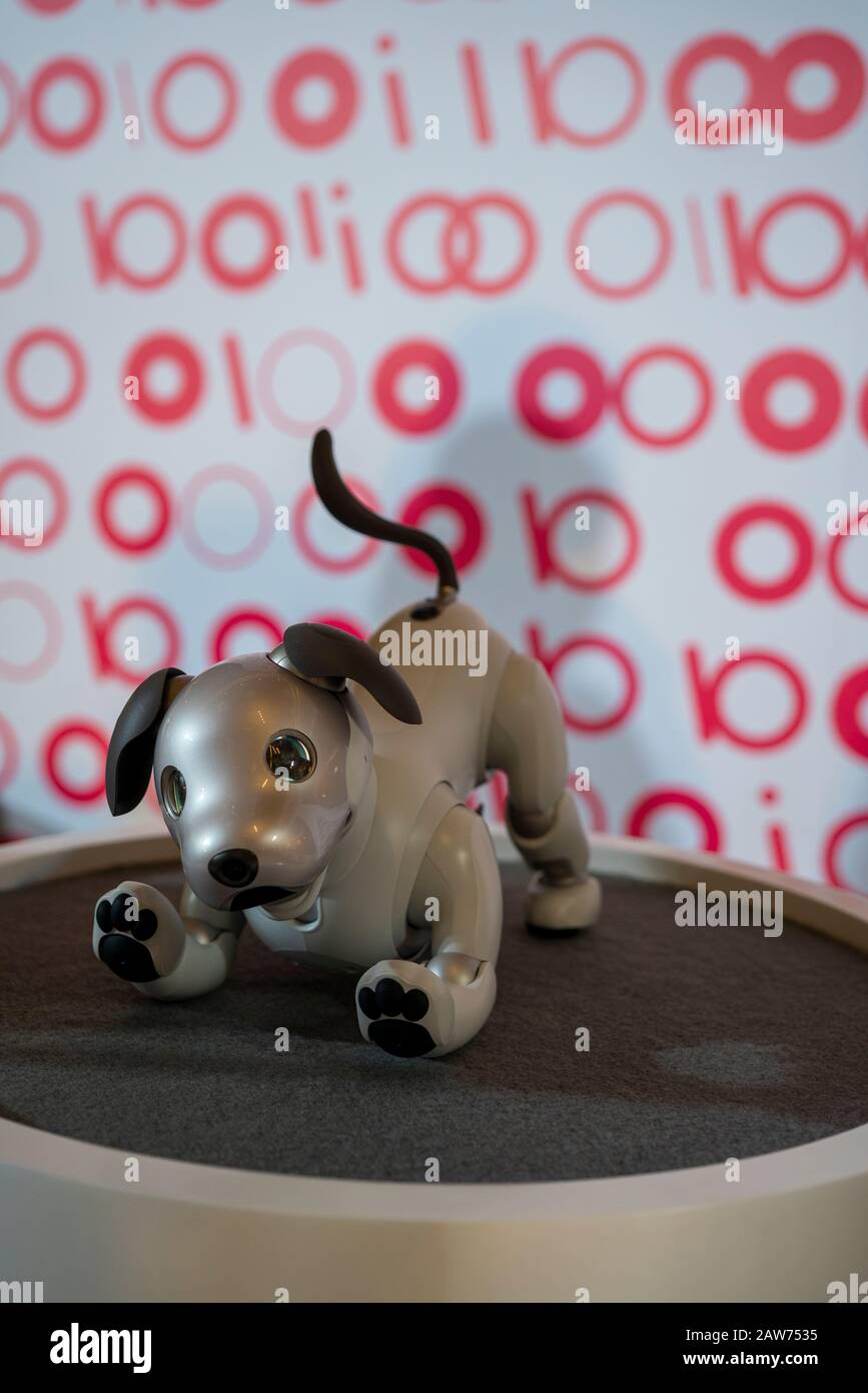 Shenzhen, China, April, 2019. AIBO robot on display at Sony Expo 2019. AIBO (stylized aibo ...