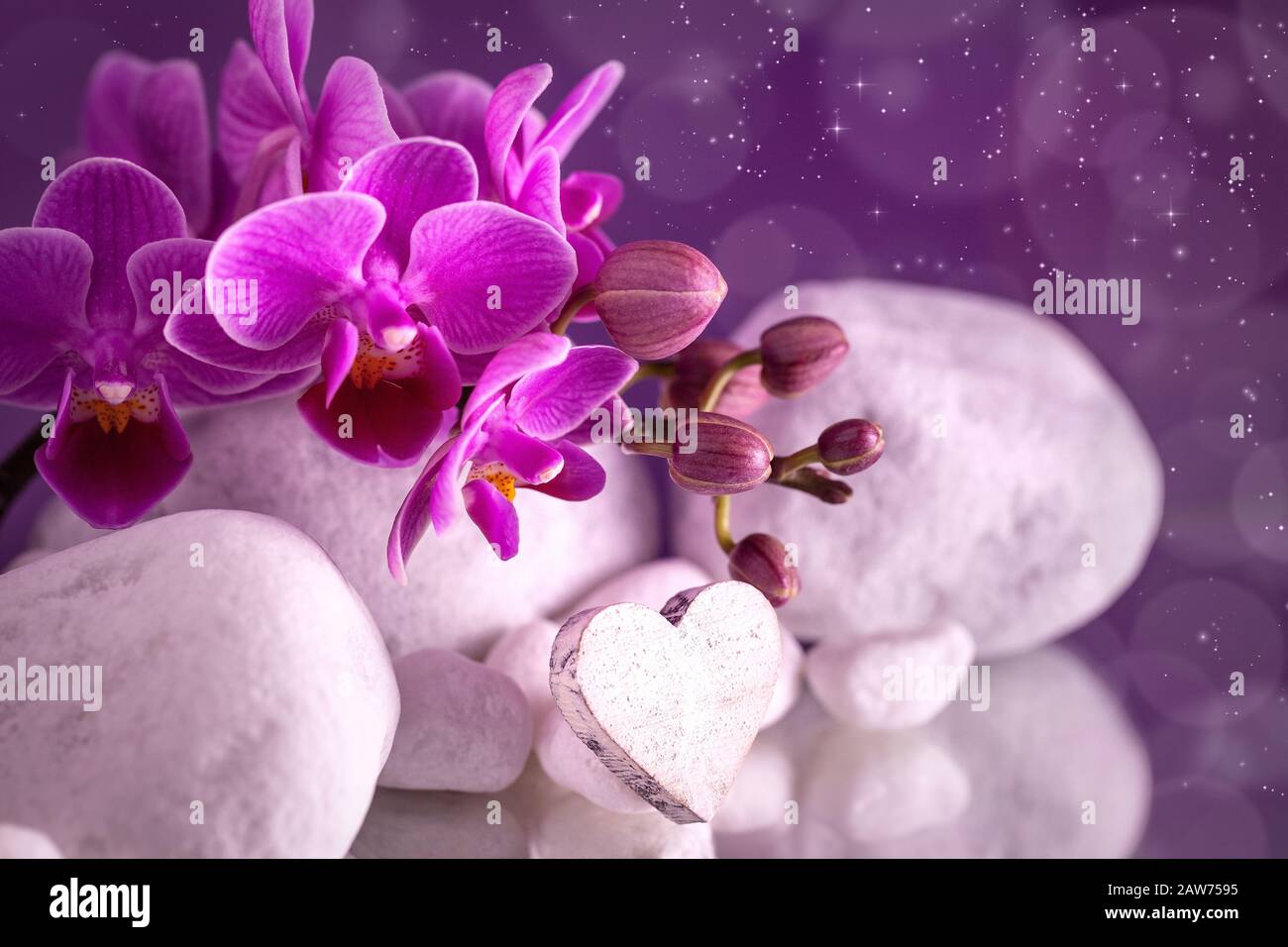 composition with orchids for Valentine's Day Stock Photo - Alamy