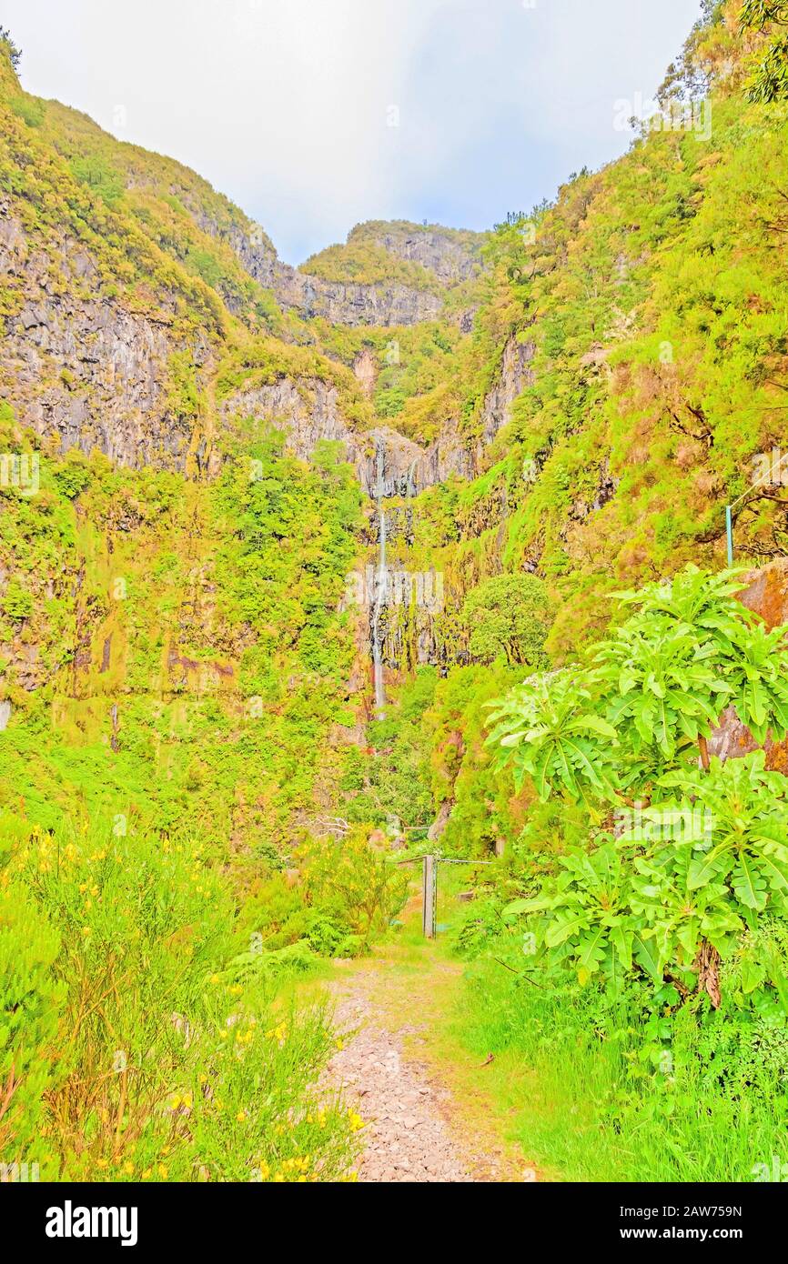 View of 25 fontes falls (25 fountains waterfalls) and greenish forest ...