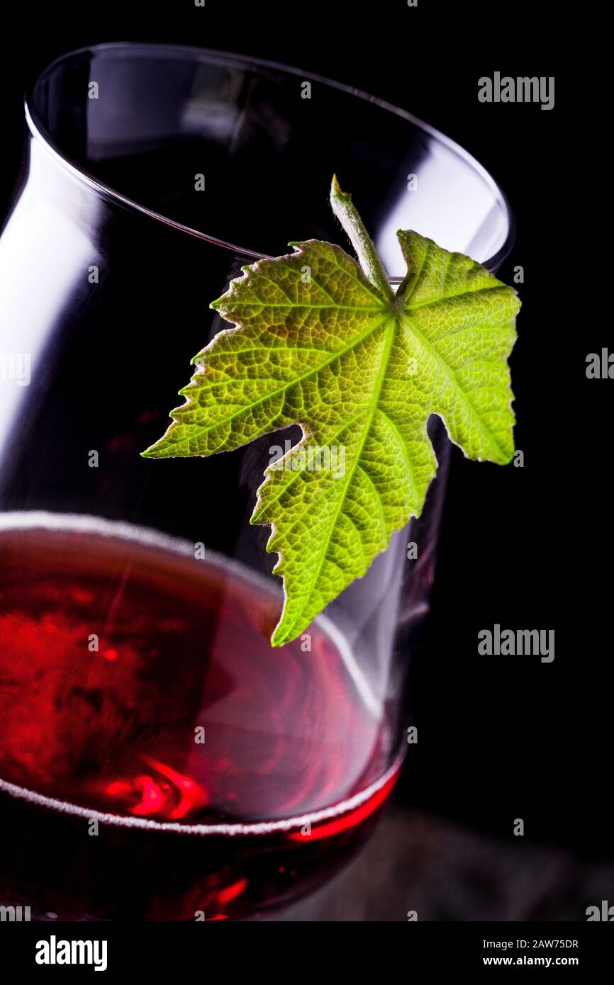 Doc leaf hi-res stock photography and images - Alamy