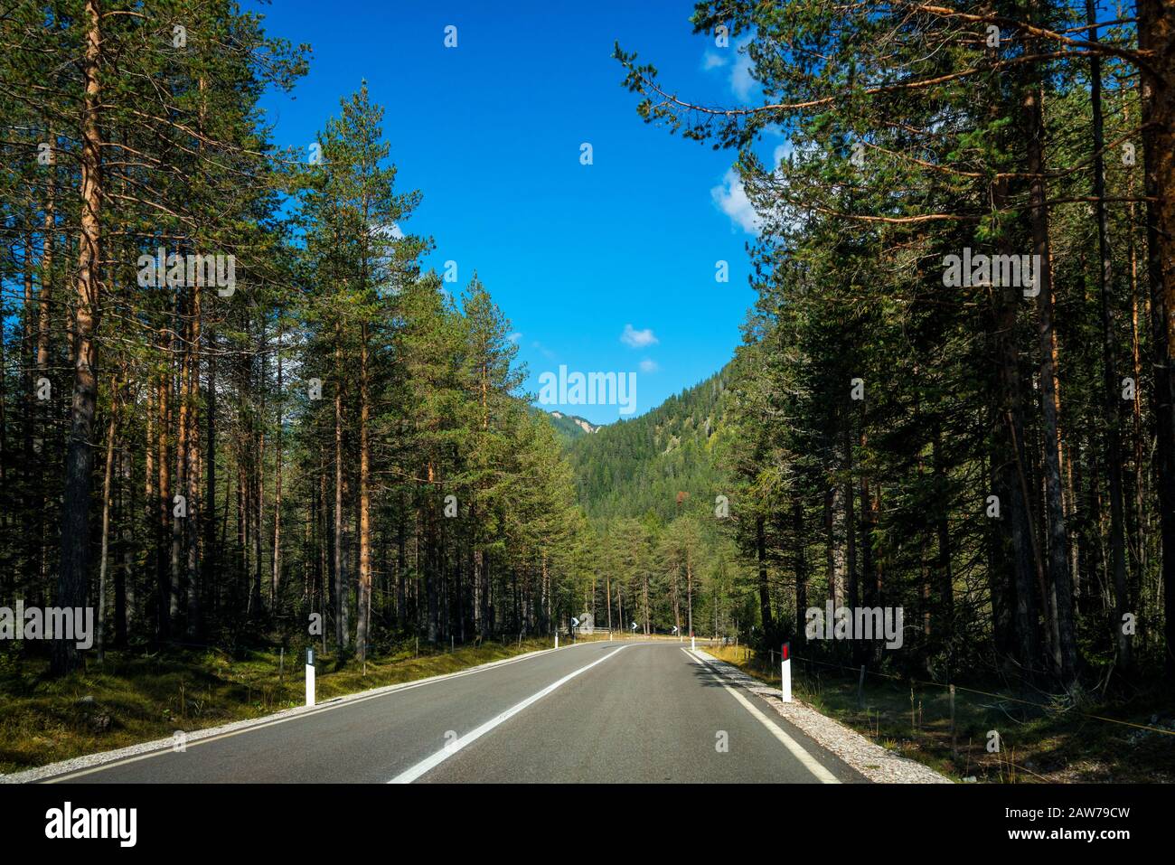 Beautiful mountain road with trees, forest and mountains in the ...
