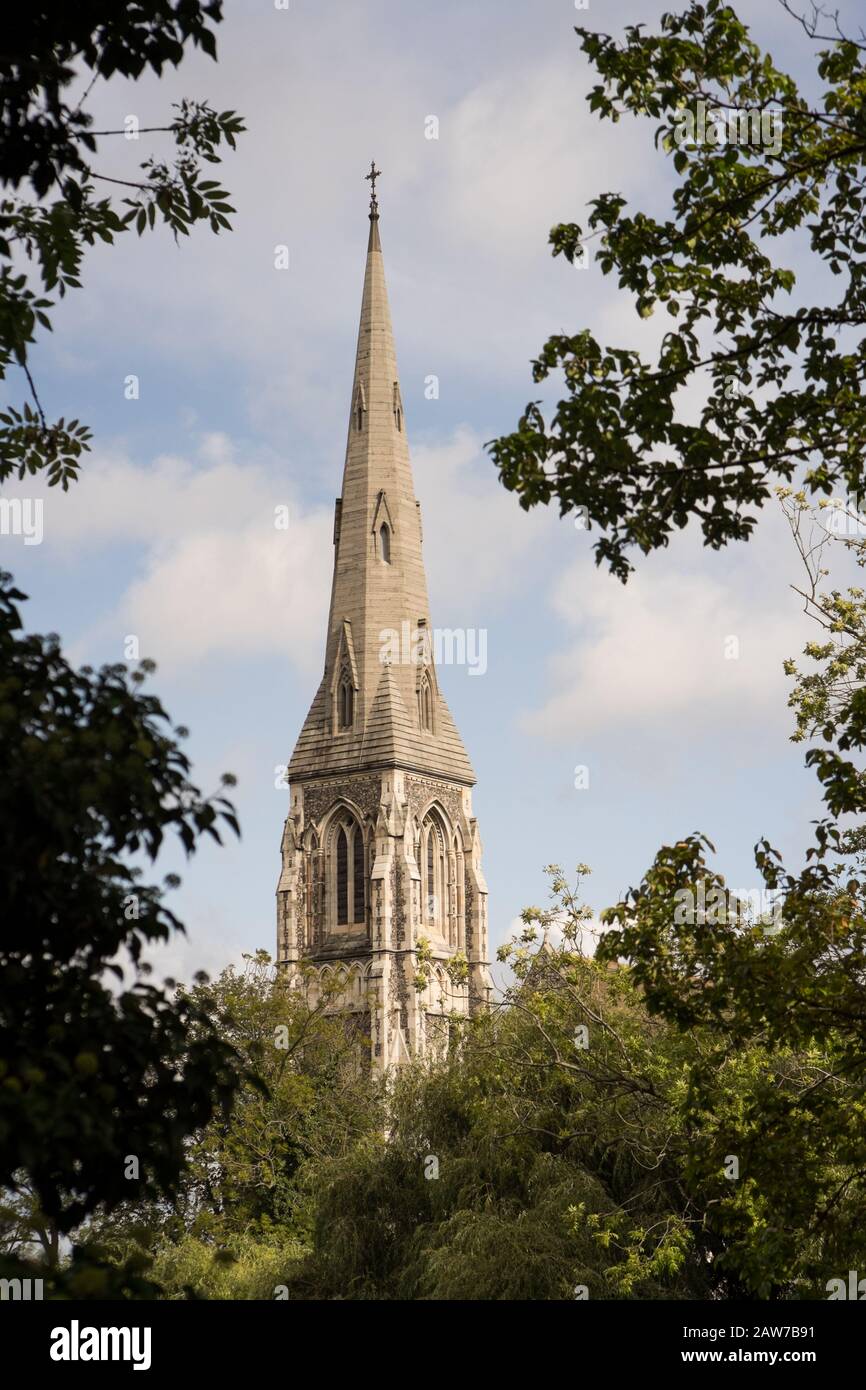 An anglican church tower in between tree branches Stock Photo - Alamy