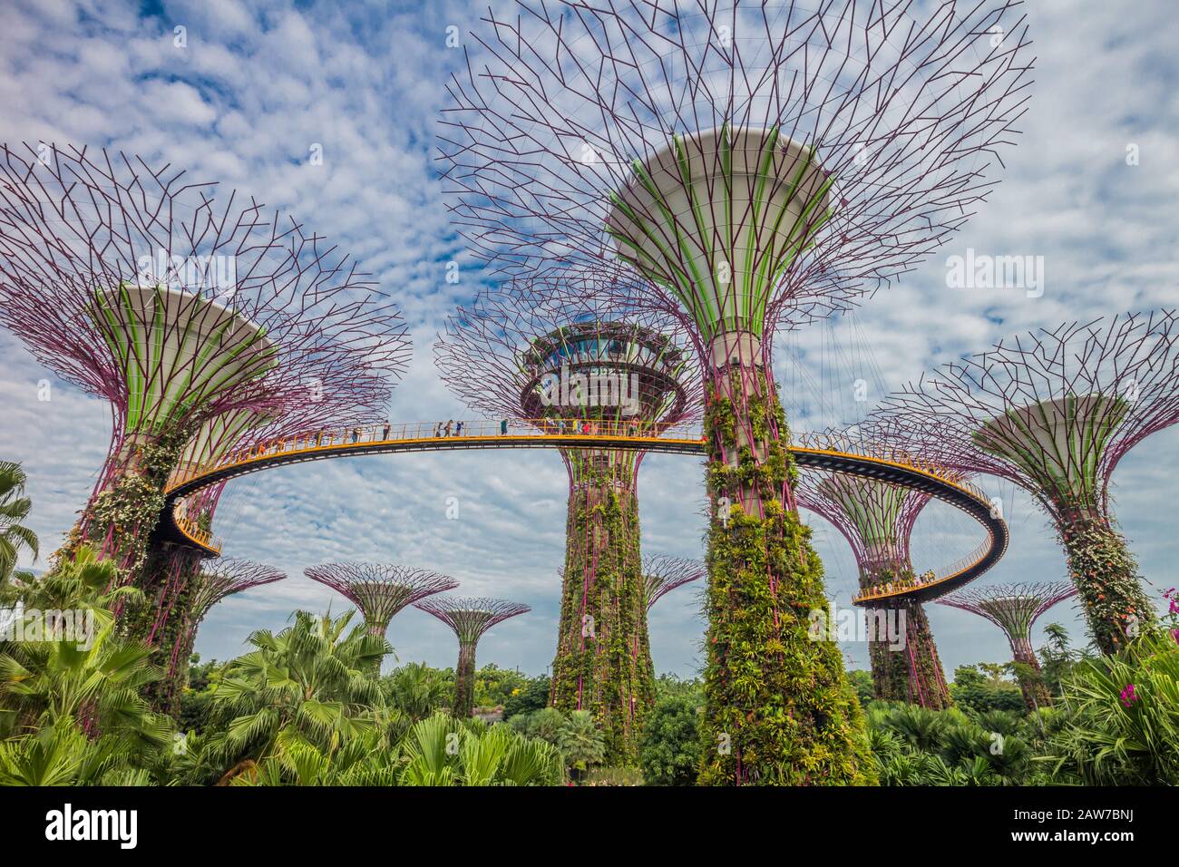 Supertree Groove In Gardens Bay High Resolution Stock Photography and ...