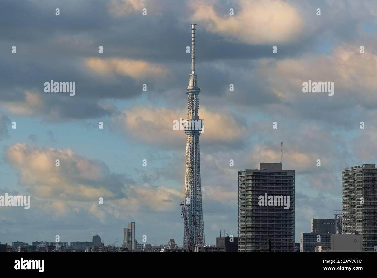 Skytree tower dominating Tokyo skyline at sunset. Futuristic ...
