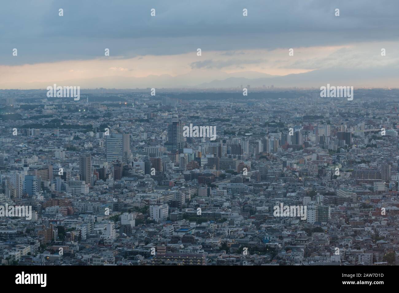 Aerial view of Tokyo cityscape at blue hour, at dusk. Birds eye view of ...