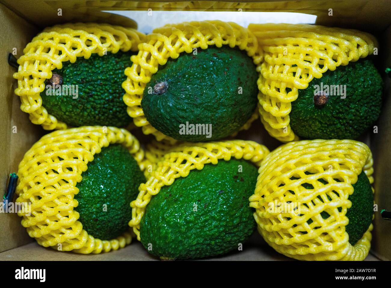 Fresh ripe tasty avocados in the box, tropical fruit close-up Stock ...