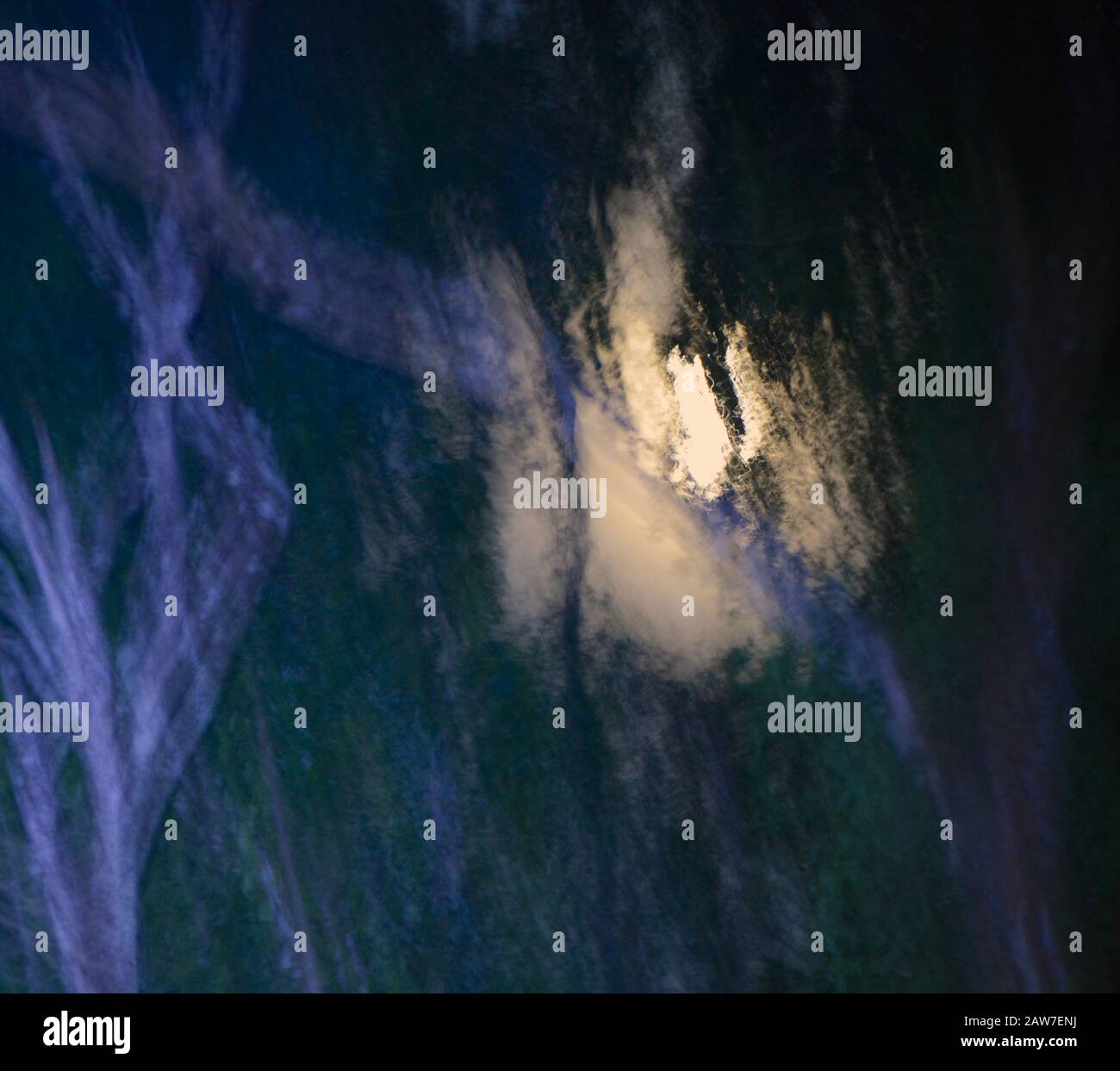 Full moon night in jungle hi-res stock photography and images - Alamy