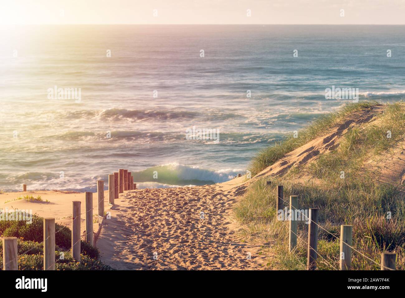 Entrance path to the beach with sunshine. Summer holiday nature ...