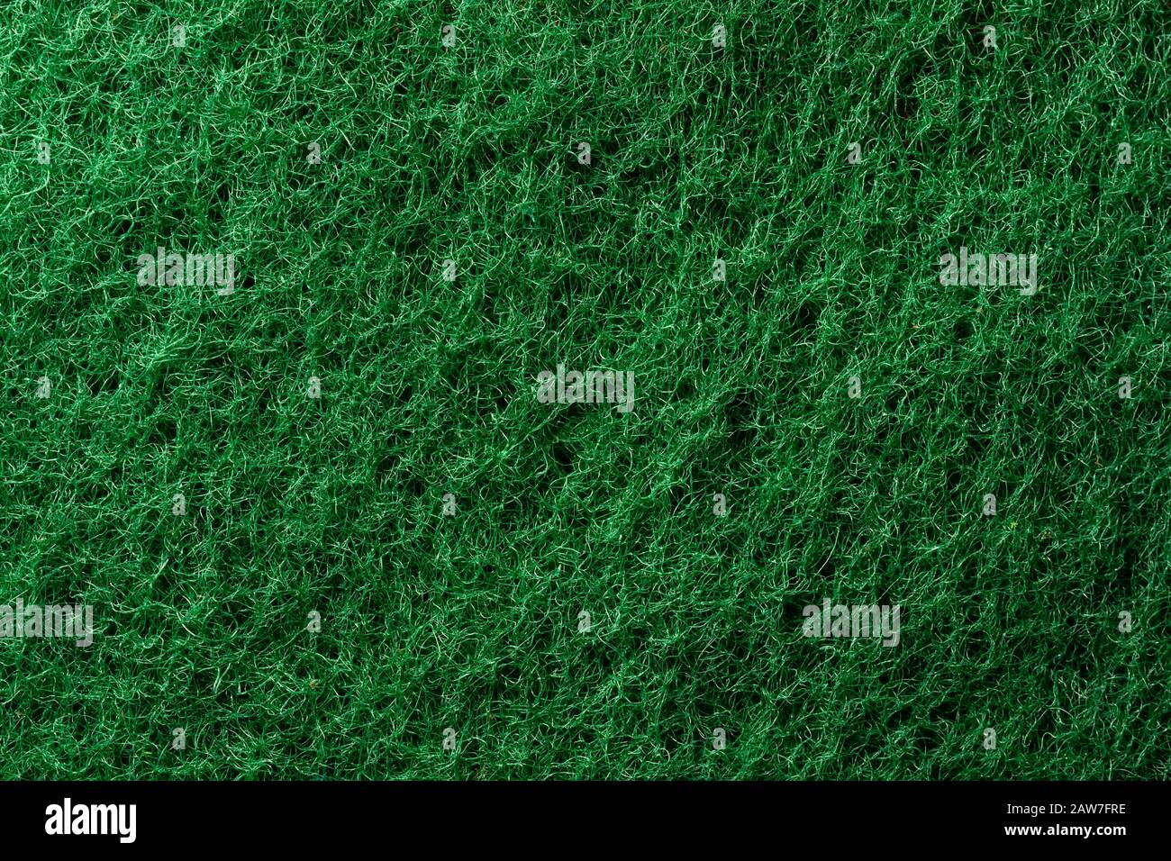 seamless tiled sponge green color texture hi-res / Close up green color ...