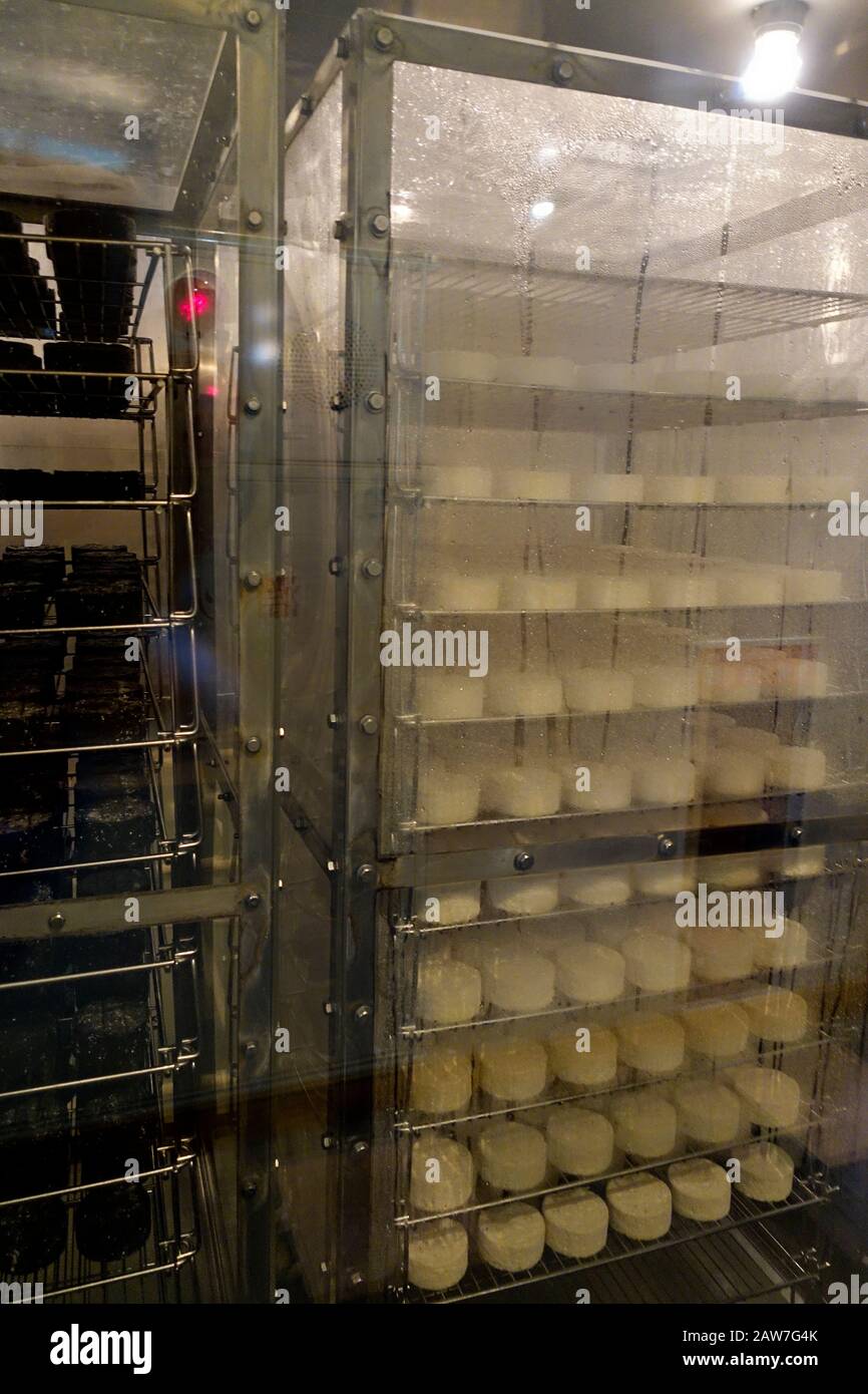 The Furano Cheese Factory is where ice cream, cheese and other dairy ...