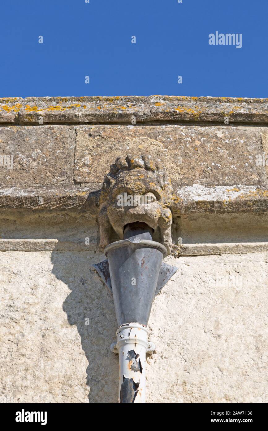 Gargoyle grotesque face drainpipe on wall medieval church of Saint John ...