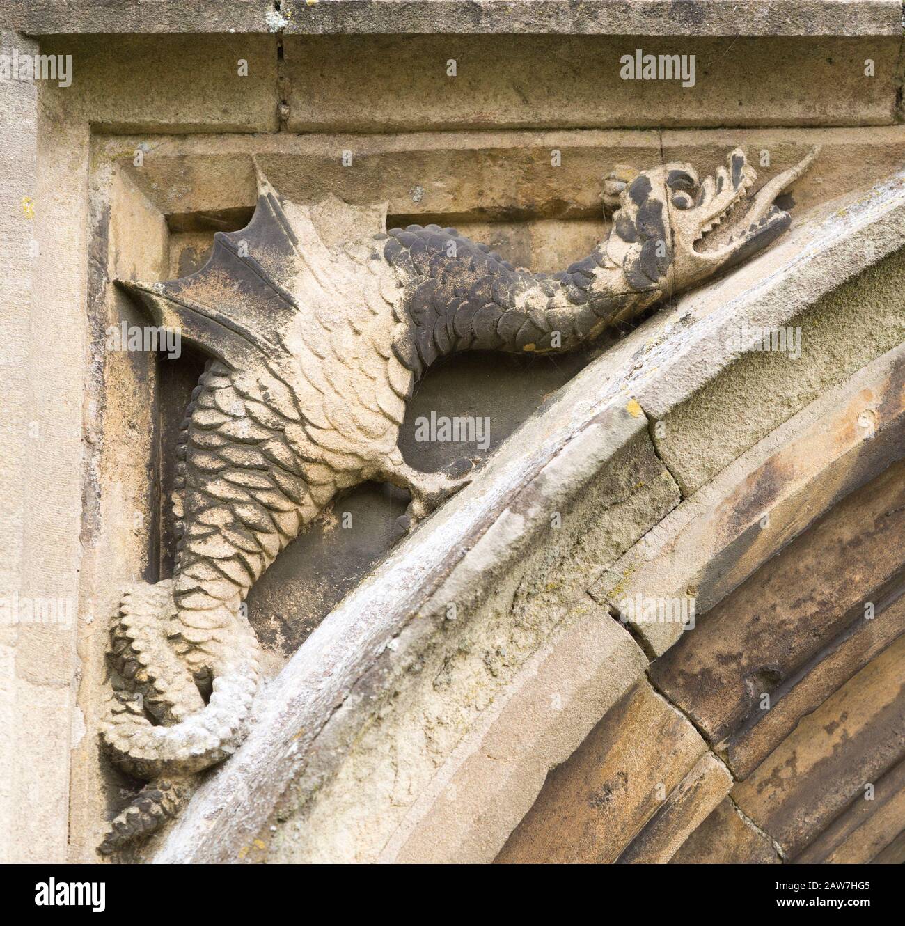 Mythological folklore figure of a griffin dragon carved in stone on the ...