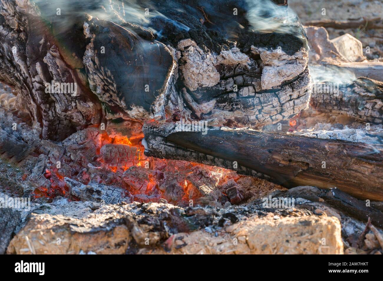 Fire pit with logs burning and charcoal red from heat. Texture ...