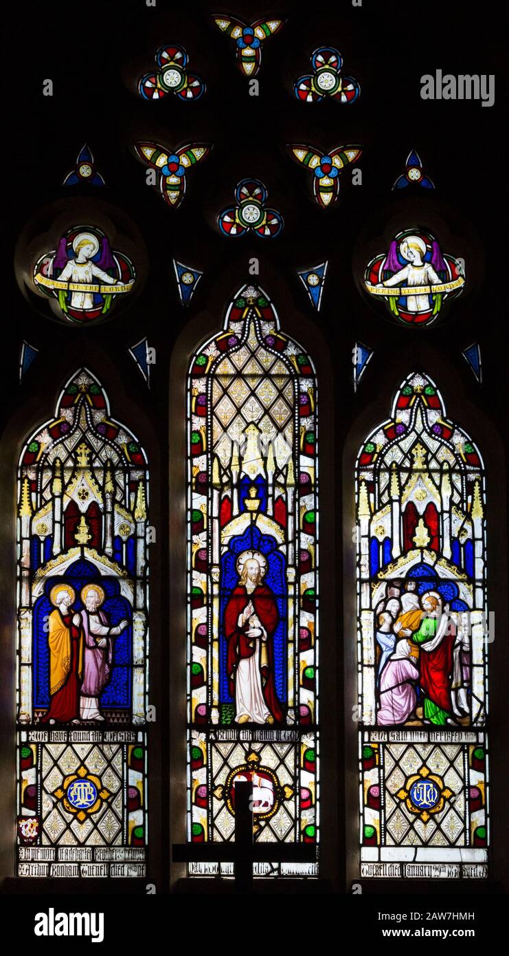 Paralytic history hi-res stock photography and images - Alamy