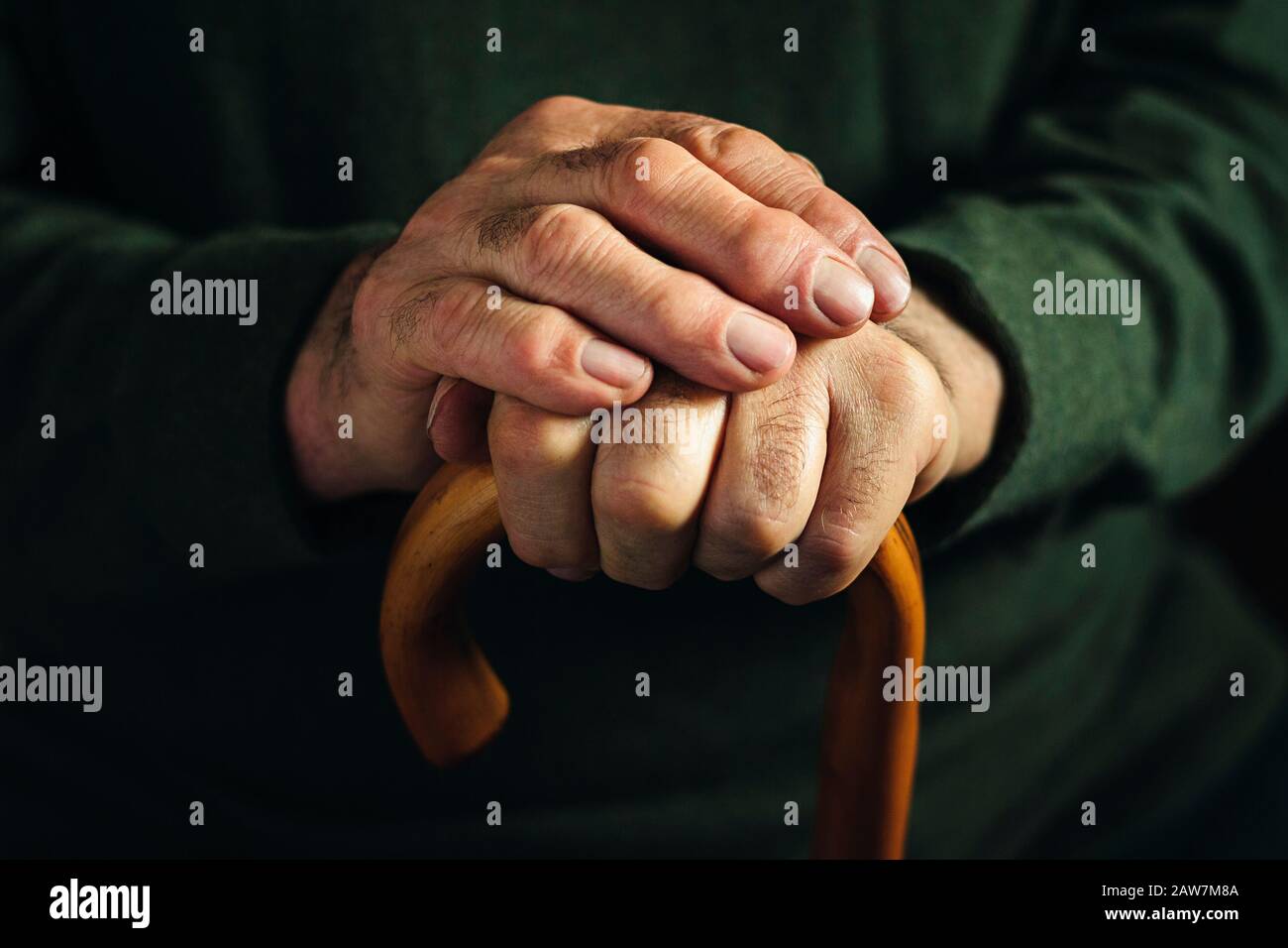 Gnarled stick hi-res stock photography and images - Alamy