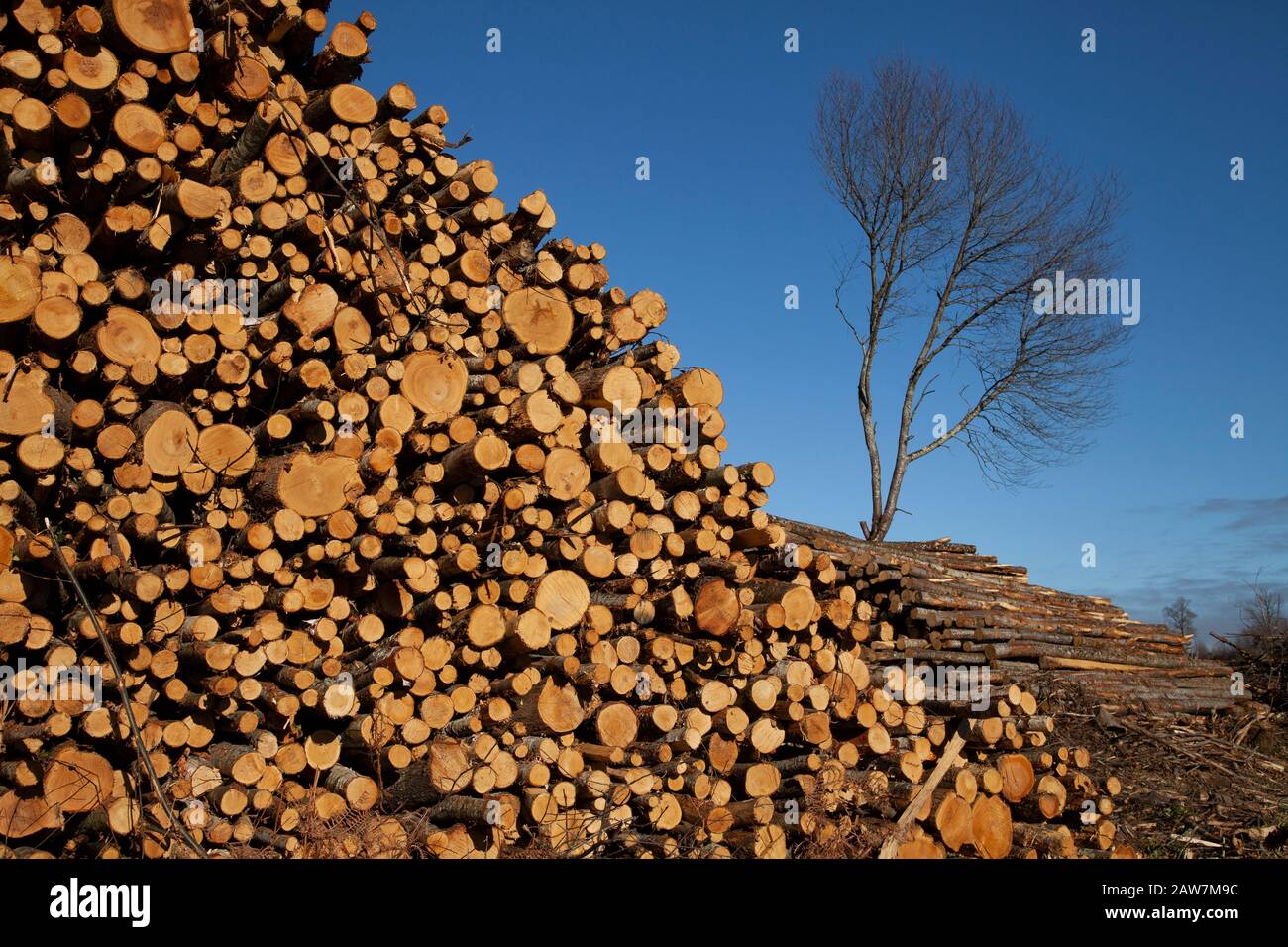 Large scale destruction hi-res stock photography and images - Alamy