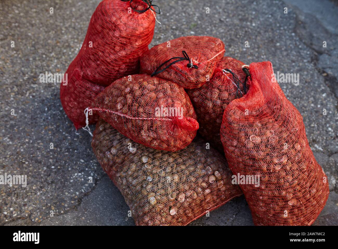 Edible snail hi-res stock photography and images - Alamy