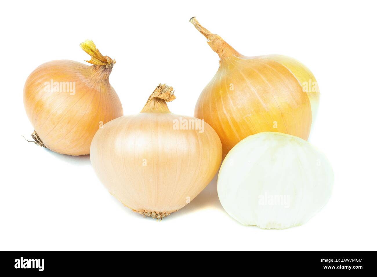 Napiform root hi-res stock photography and images - Alamy