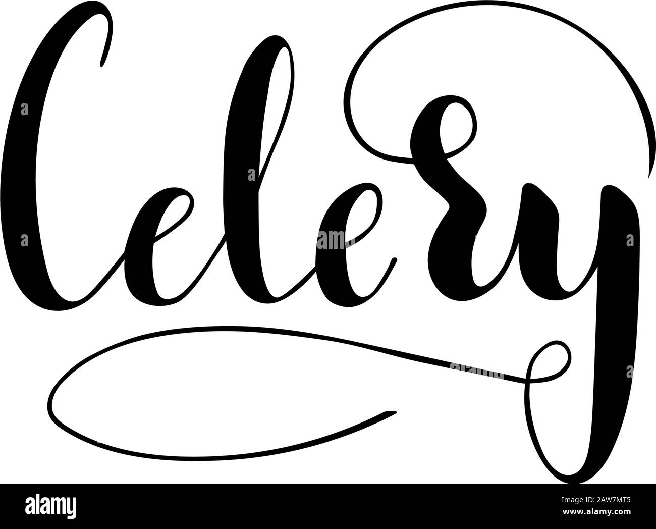 Vector hand written celery text isolated on white background. Kitchen ...