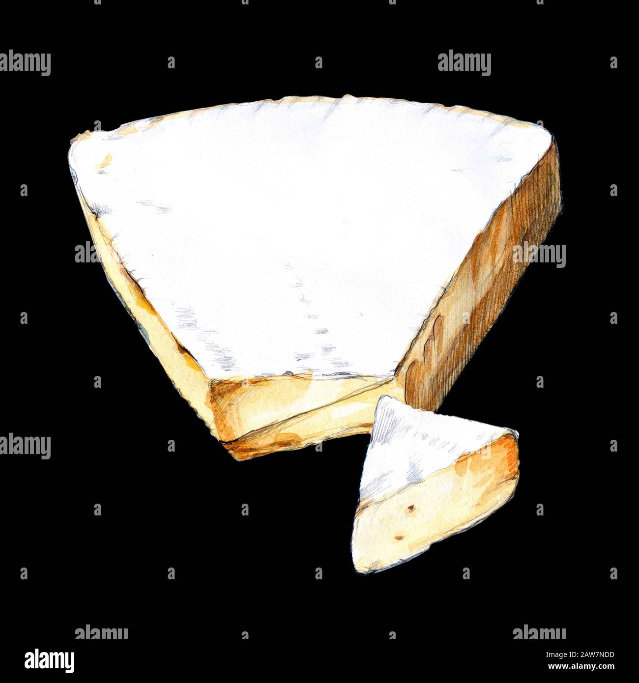 Brie watercolor illustration on black background Stock Photo - Alamy