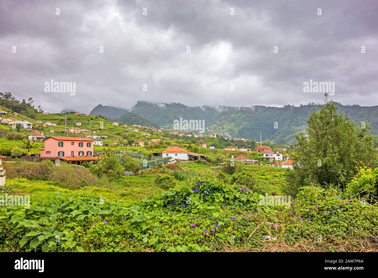 Typical landscape of Madeira island near Faial - green terraced hills ...