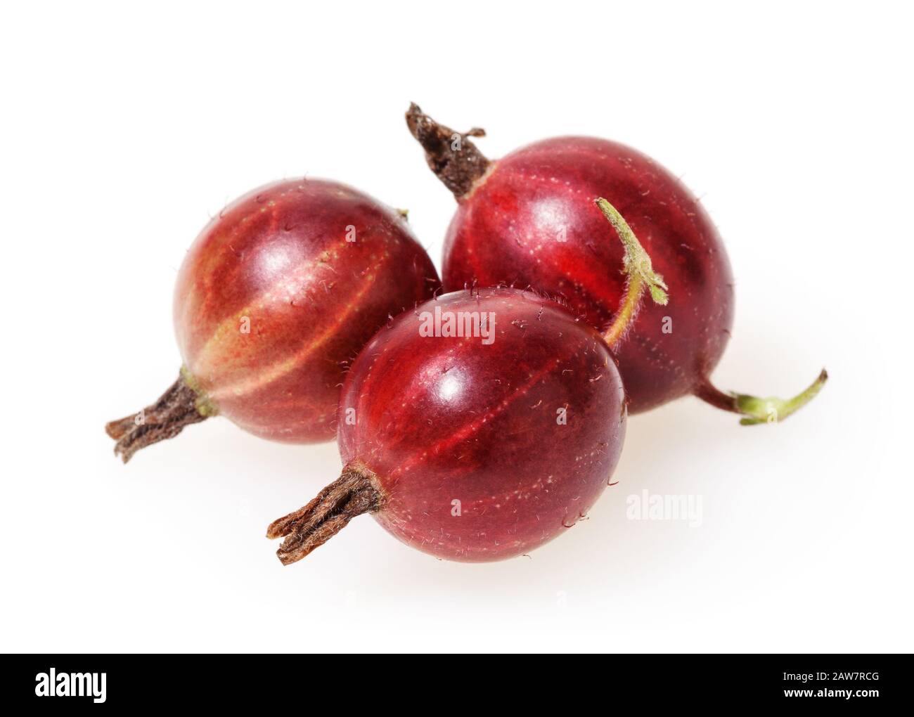 Red gooseberries isolated on white background Stock Photo - Alamy