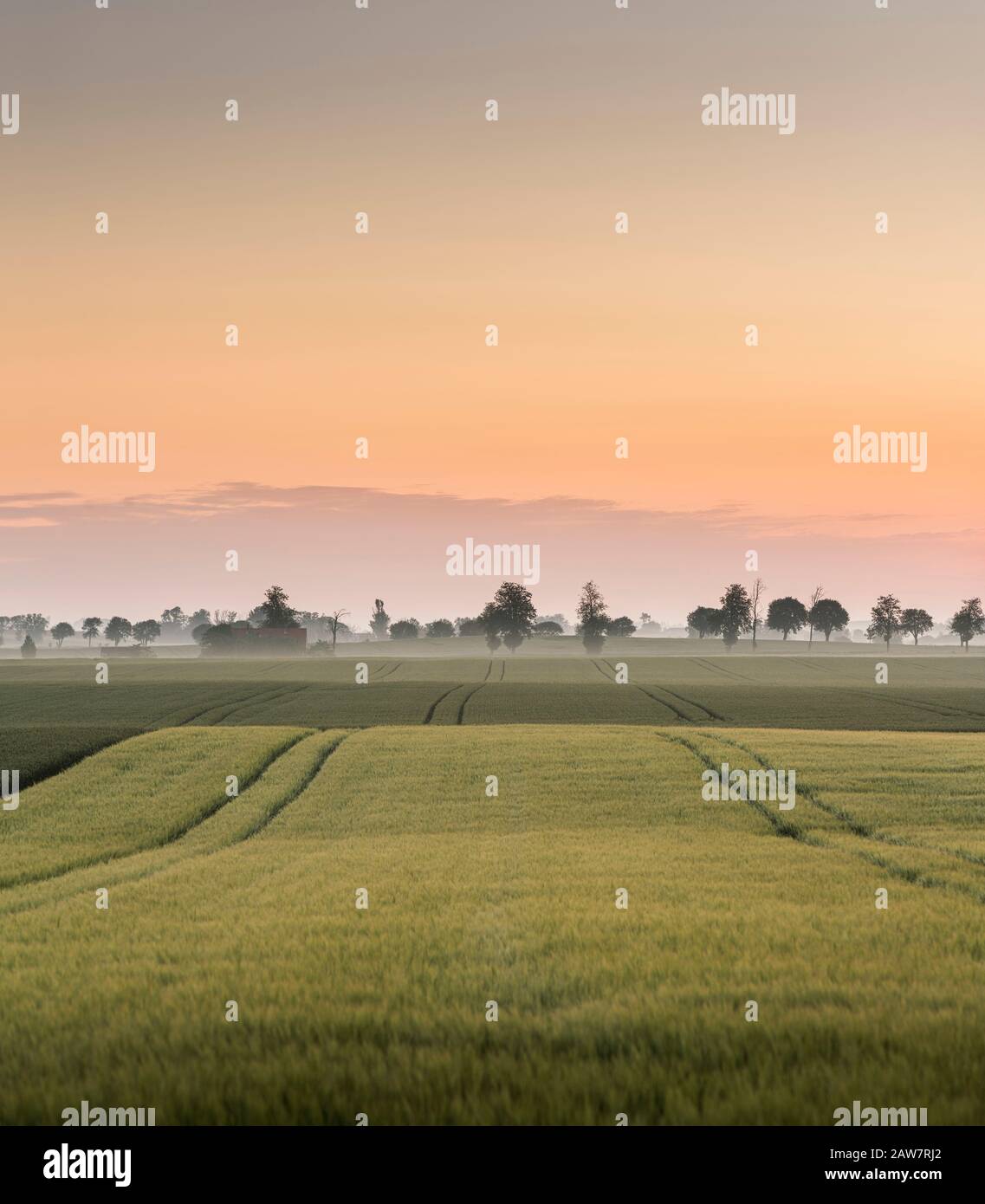 Rural landscape at Soderslatt, Skane, Sweden, Scandinavia Stock Photo ...