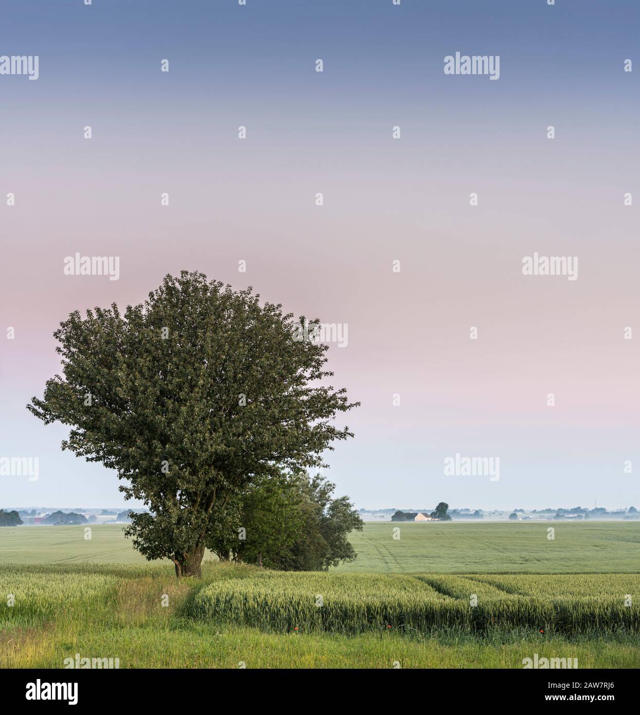 Rural landscape at Soderslatt, Skane, Sweden, Scandinavia Stock Photo ...