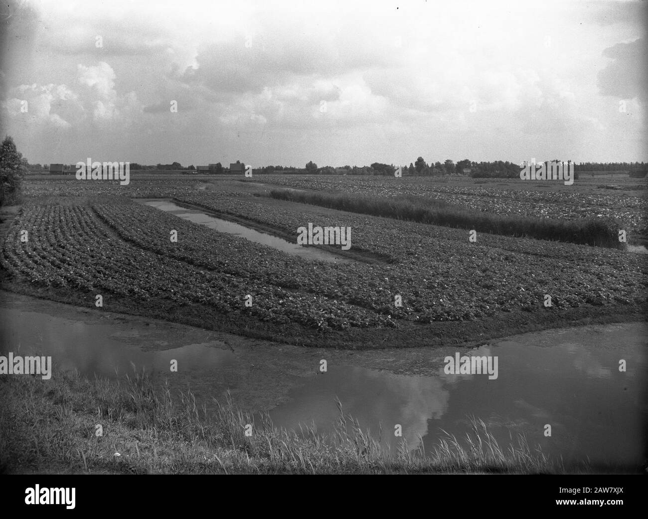 Waarland hi-res stock photography and images - Alamy