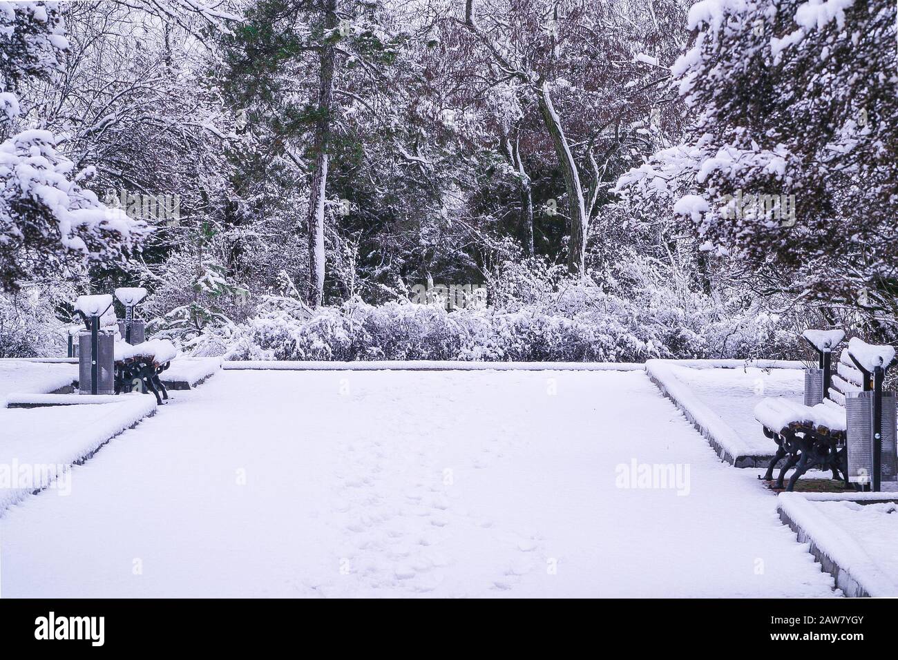 Nature winter landscape after blizzard Stock Photo - Alamy