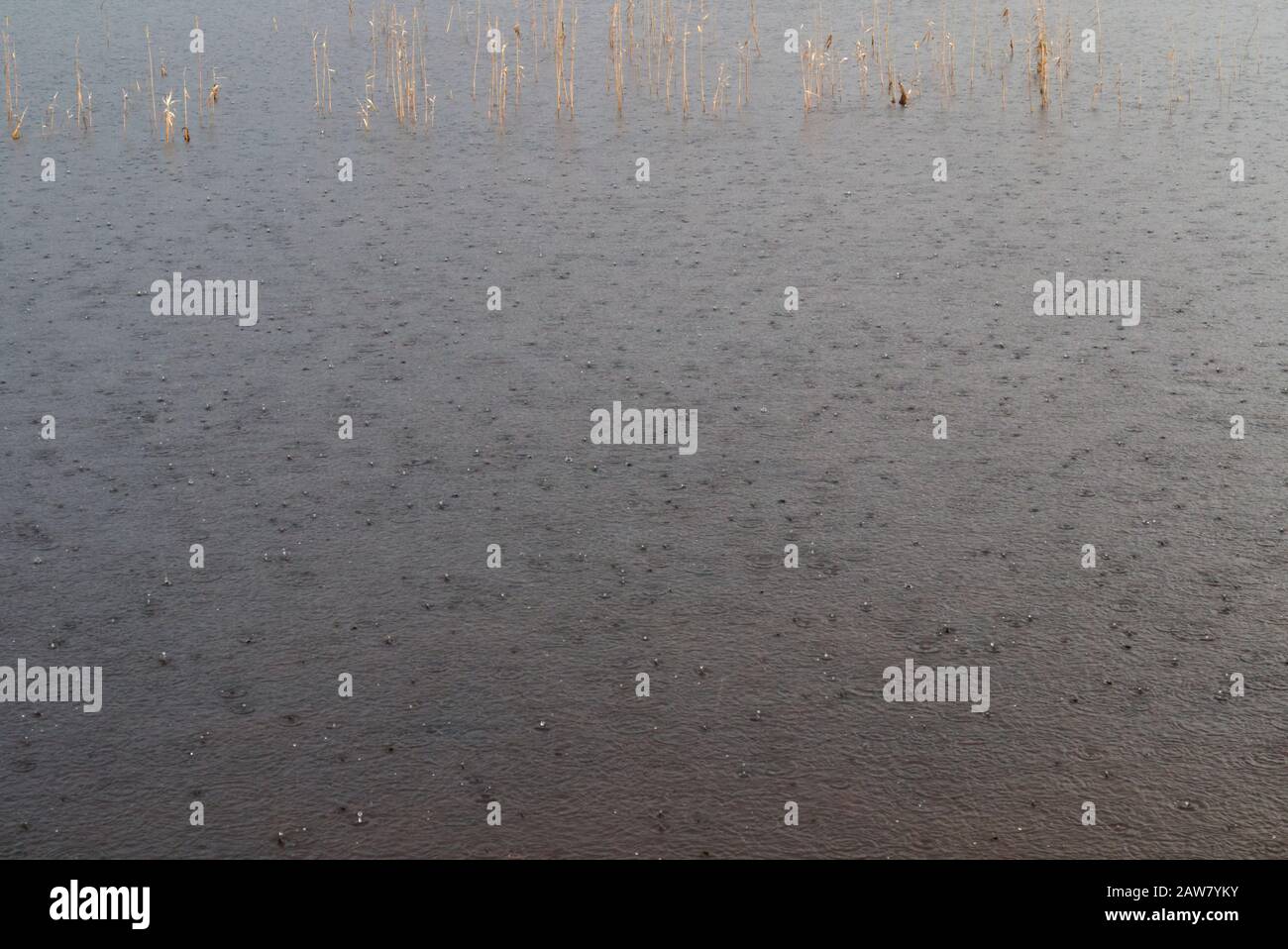 Rain drops on surface of loch, Highland Scotland Stock Photo - Alamy