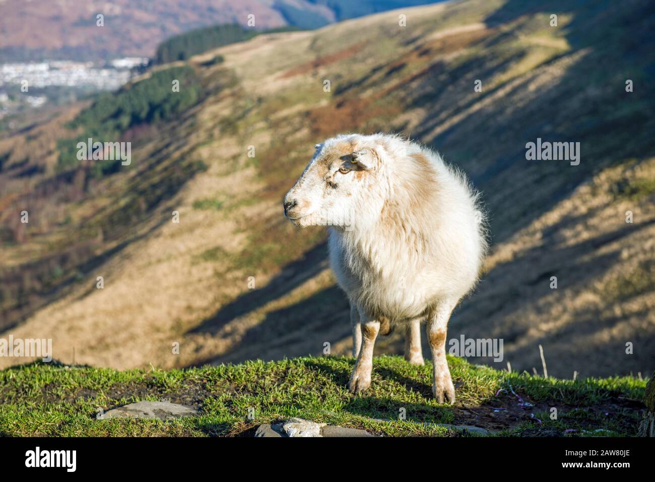 Bwlch Mountain High Resolution Stock Photography and Images - Alamy