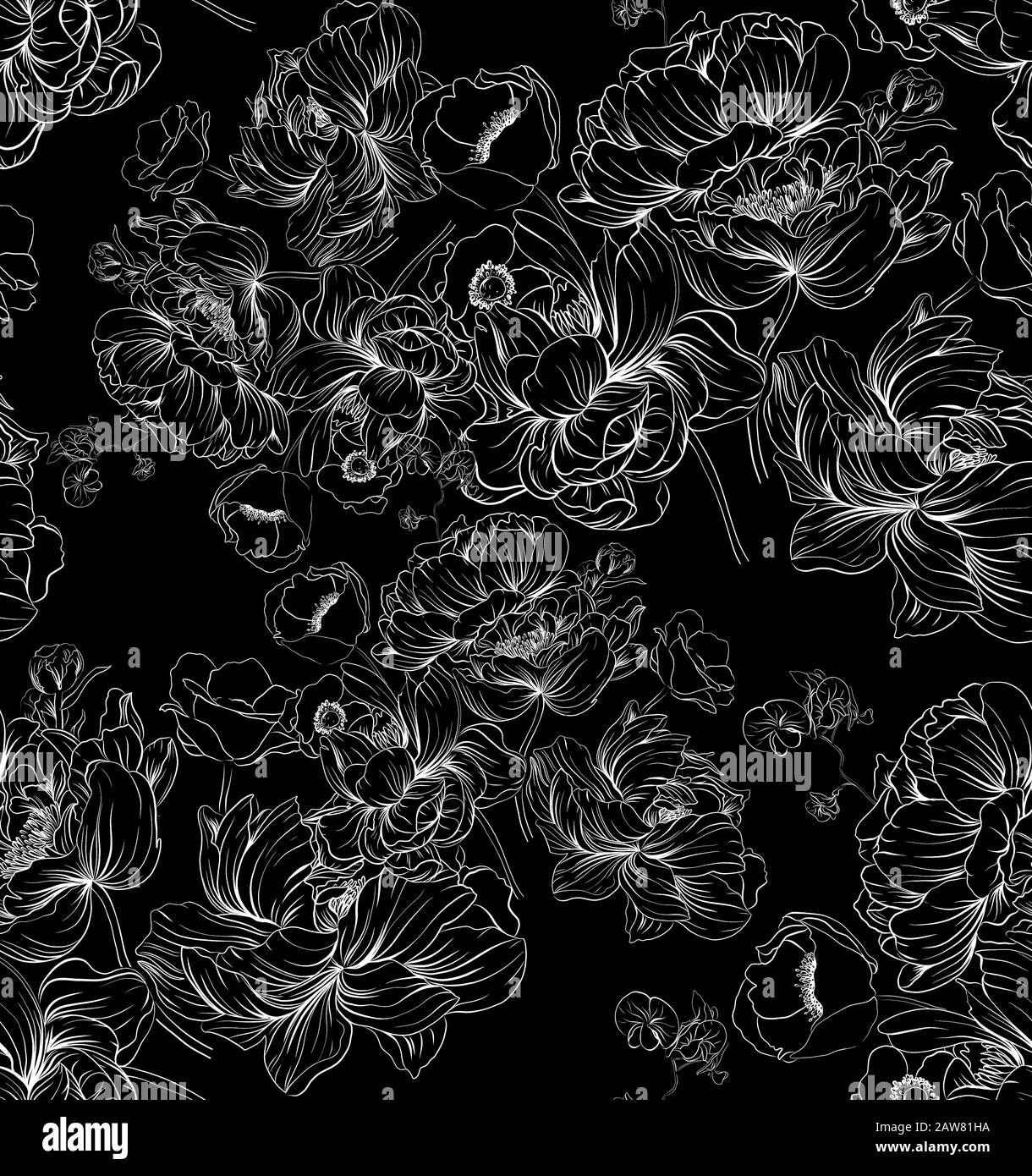 Isolated peony bloom Black and White Stock Photos & Images - Alamy