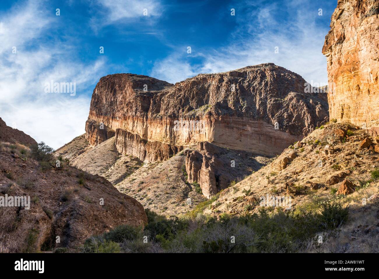 Burro Mesa massif, Chihuahuan Desert, Big Bend National Park, Texas ...