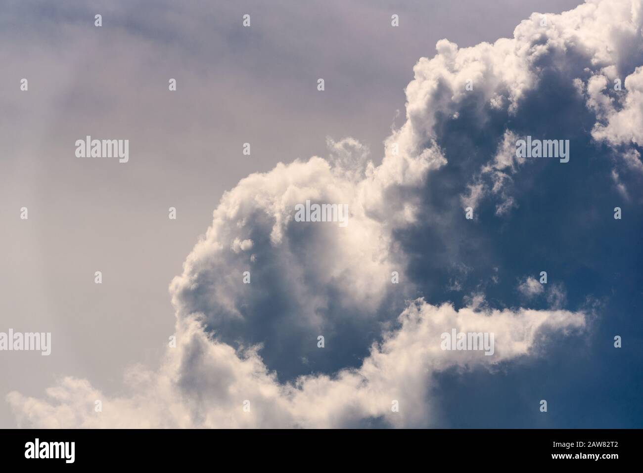 Cumulus cloud closeup Stock Photo - Alamy