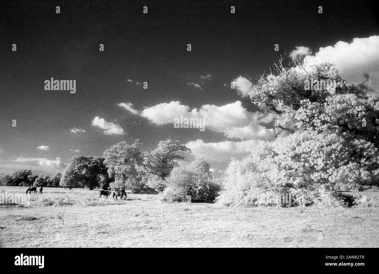 Warsash hi-res stock photography and images - Alamy