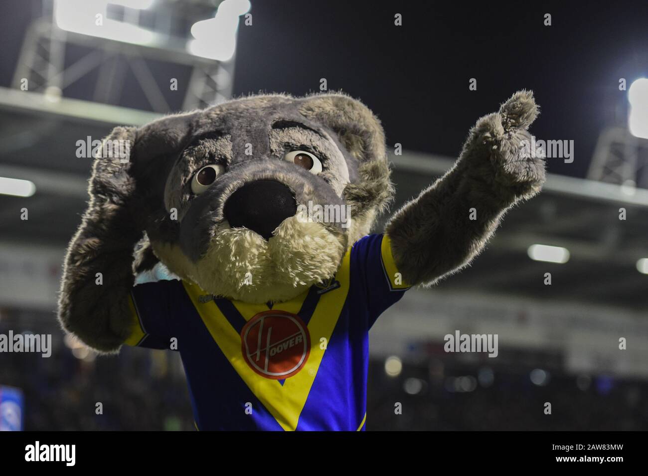 Warrington wolves mascot hi-res stock photography and images - Alamy