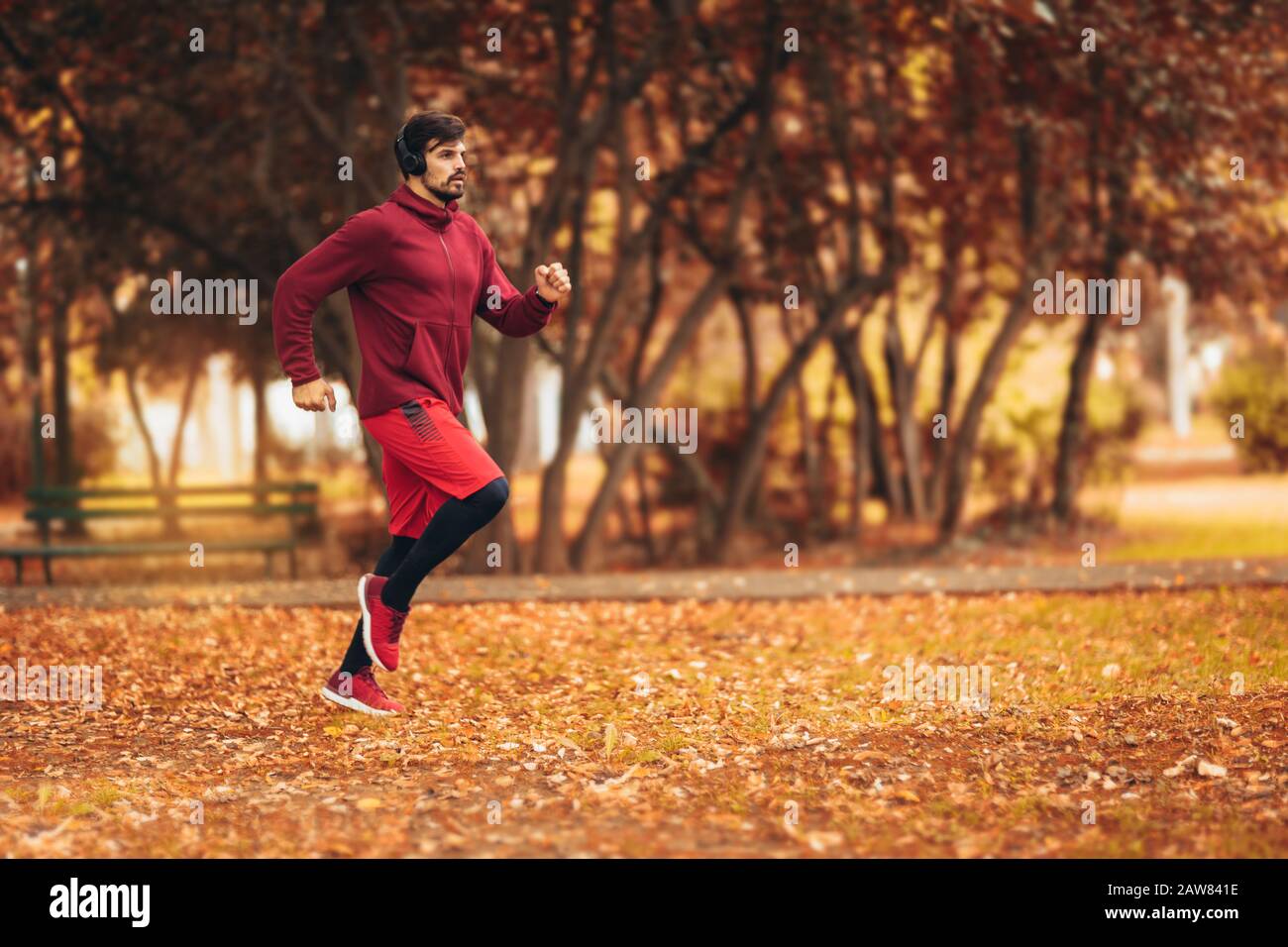 Young man running at park during autumn morning Stock Photo - Alamy