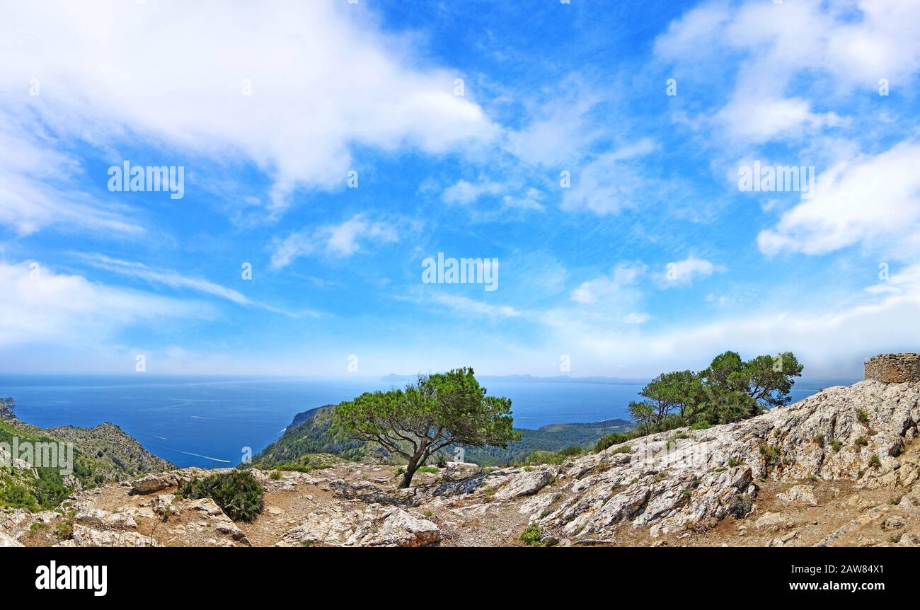 Mediterranean mountain / ocean panorama with tree - horizon / blue ...