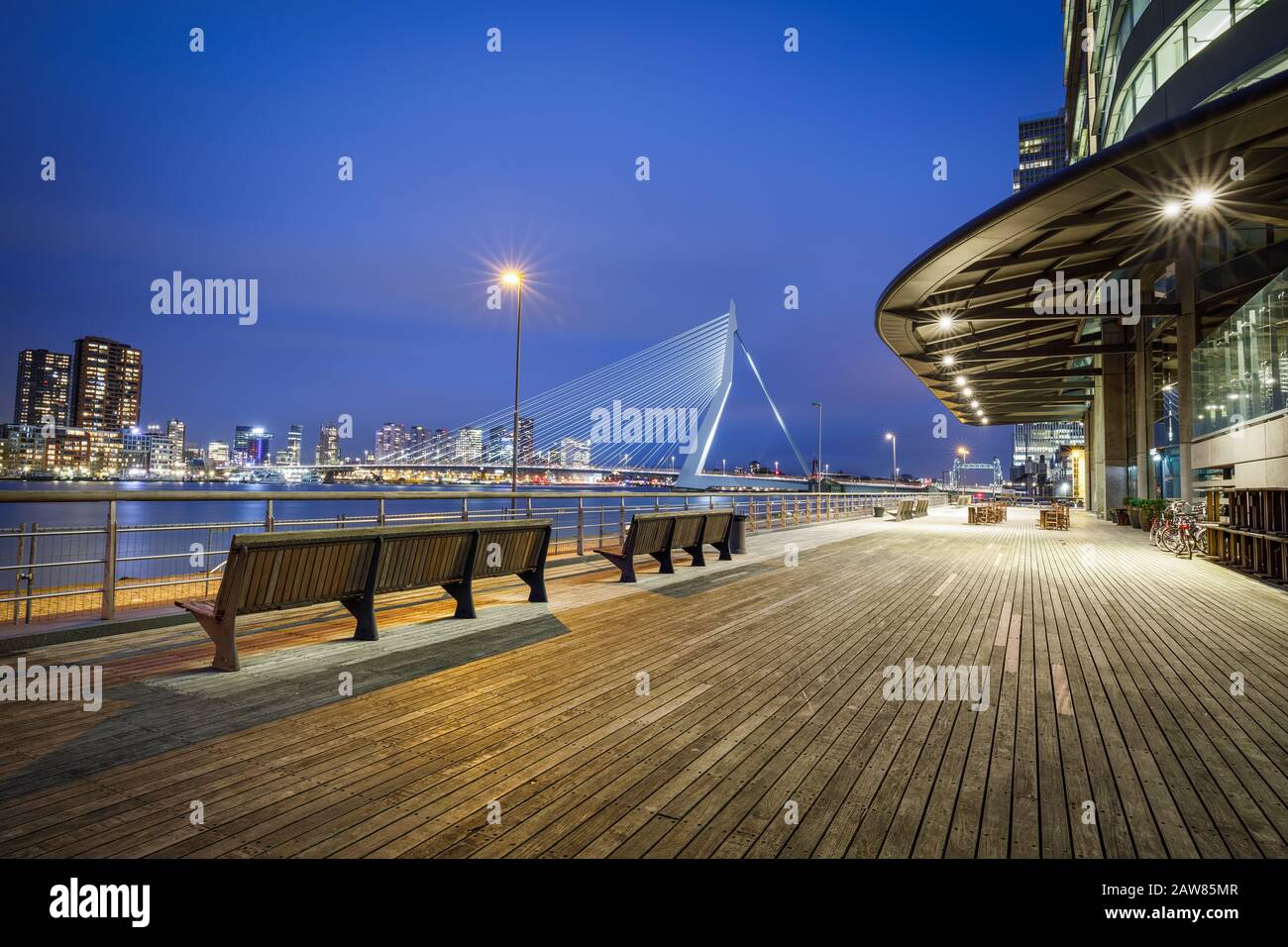 Cityscape of the Rotterdam skyline and Erasmus bridge at night Stock ...
