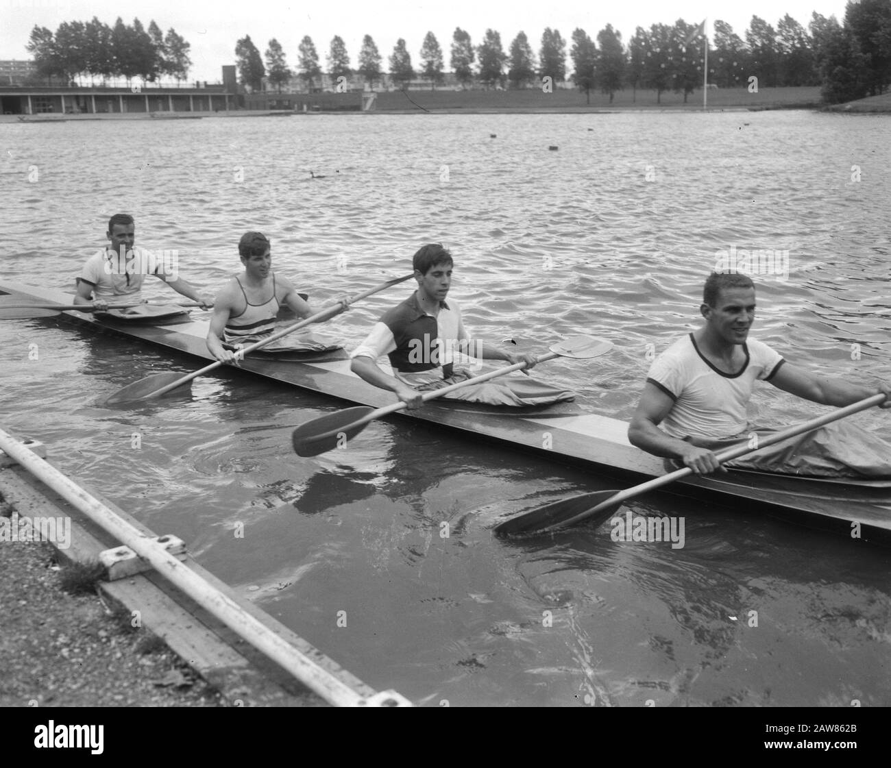 Short flowers Black and White Stock Photos & Images - Alamy
