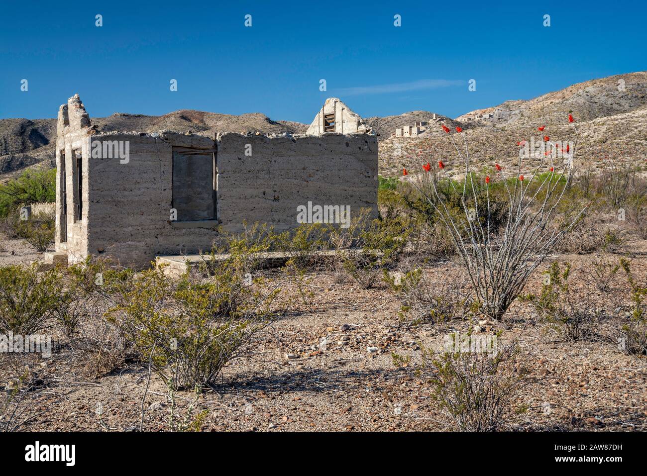 Blooming ocotillo, miners shack ruin with Mariscal Mine in distance ...