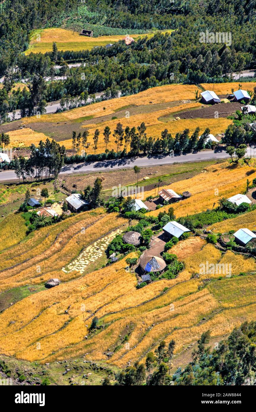 View to Ethiopian countryside from above - fields and houses Stock ...