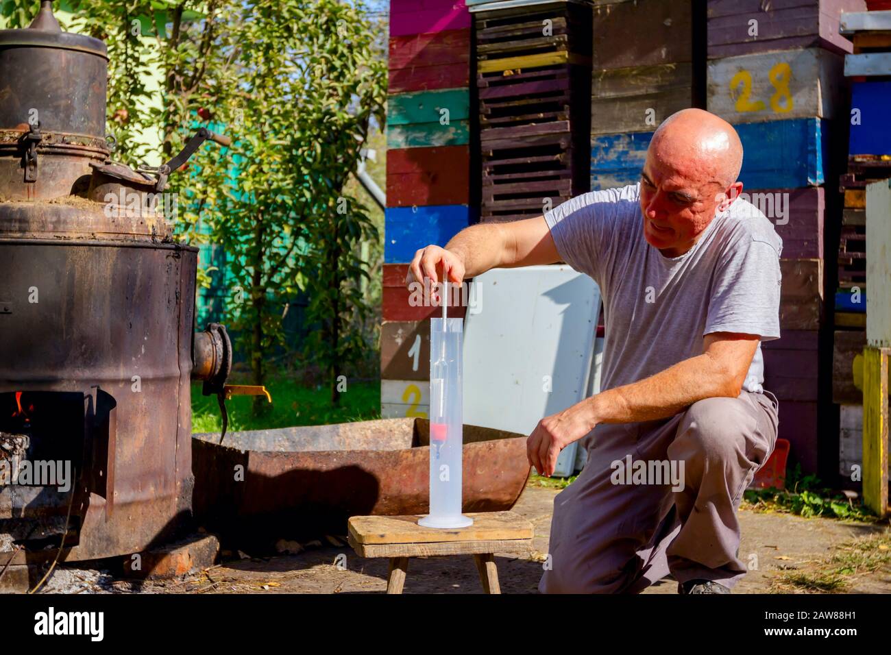 Man is using glass alcoholmeter for determining the amount ...