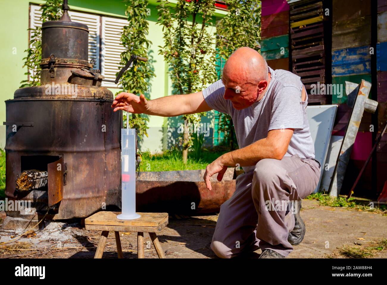 Man is using glass alcoholmeter for determining the amount ...